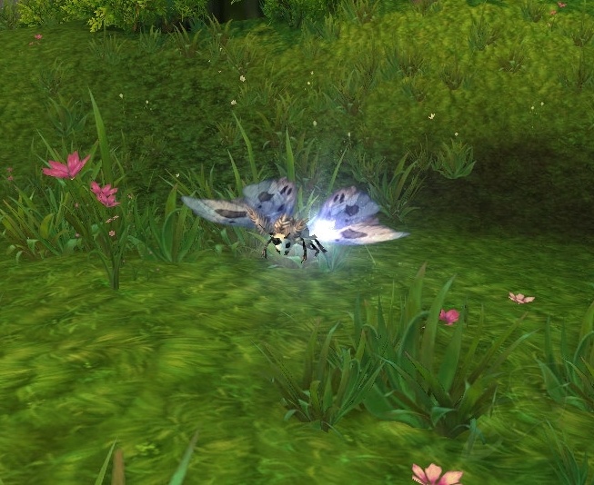 Ashwing Moth - Spell - World of Warcraft