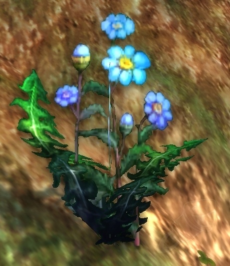 Blindweed - Object - Mists of Pandaria Classic