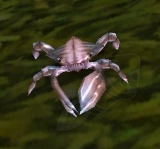 Shore Crawler - Spell - Mists of Pandaria Classic