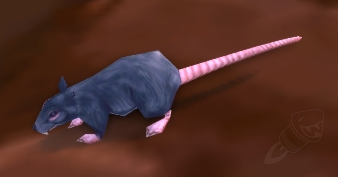 Stormwind Rat - NPC - Mists of Pandaria Classic