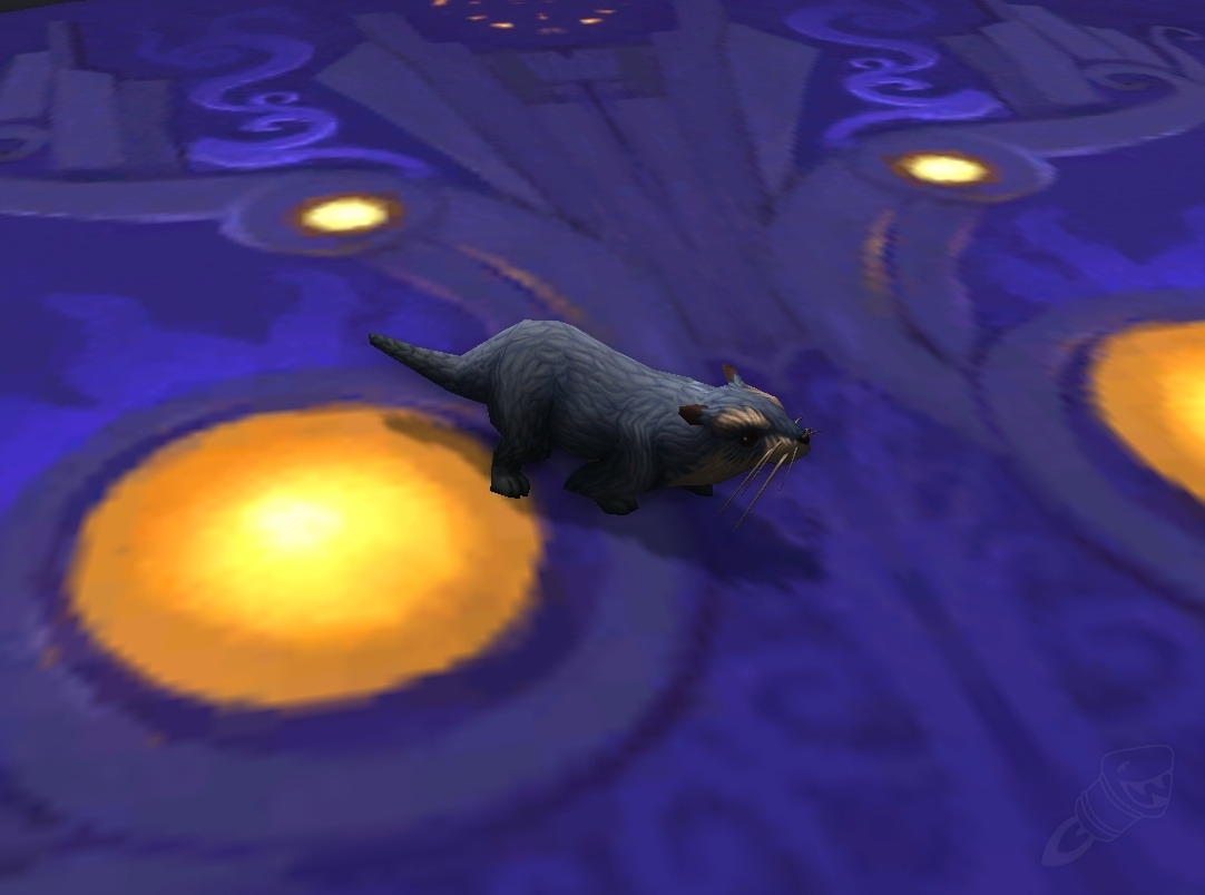 Mongoose - NPC - Mists of Pandaria Classic