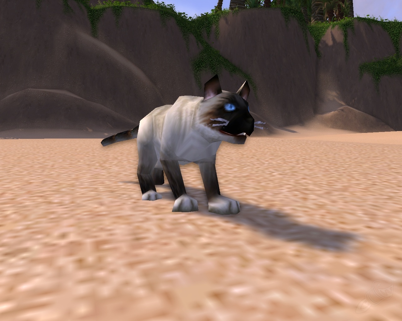 Cat - NPC - Mists of Pandaria Classic