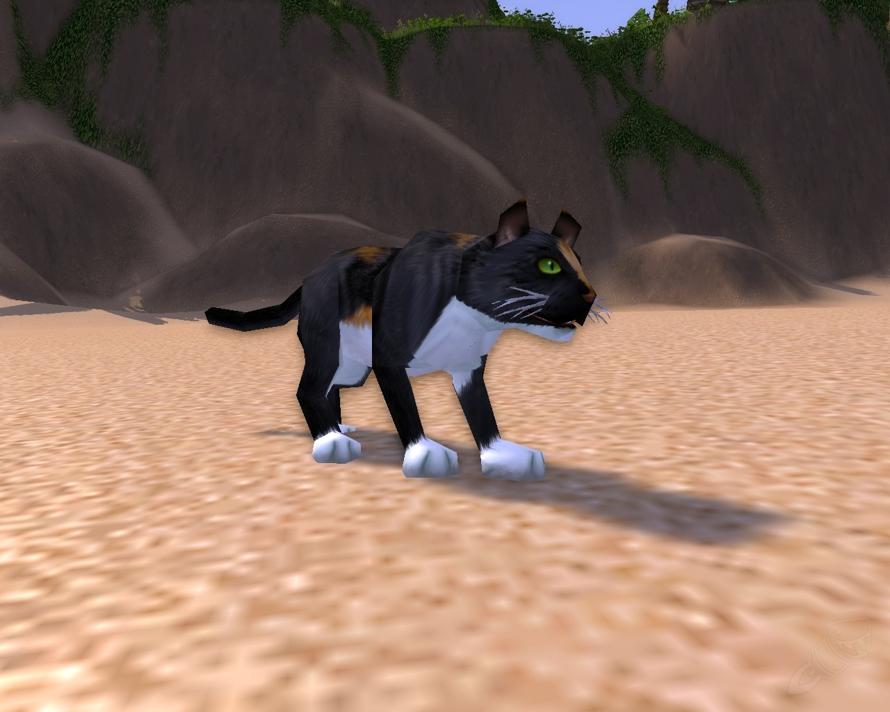Gato Tricolor - PNJ - World of Warcraft