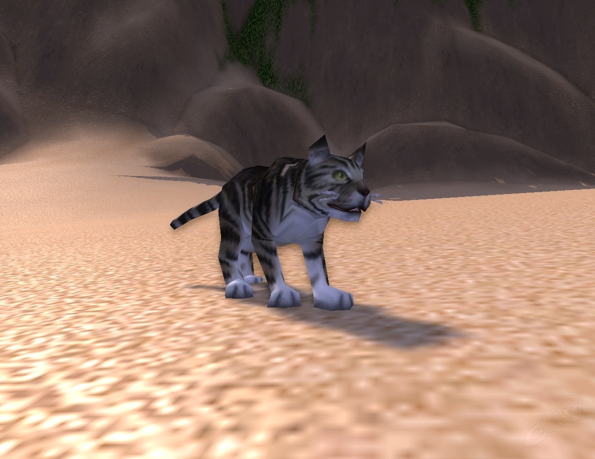 Black Tabby Cat - NPC - Mists of Pandaria Classic