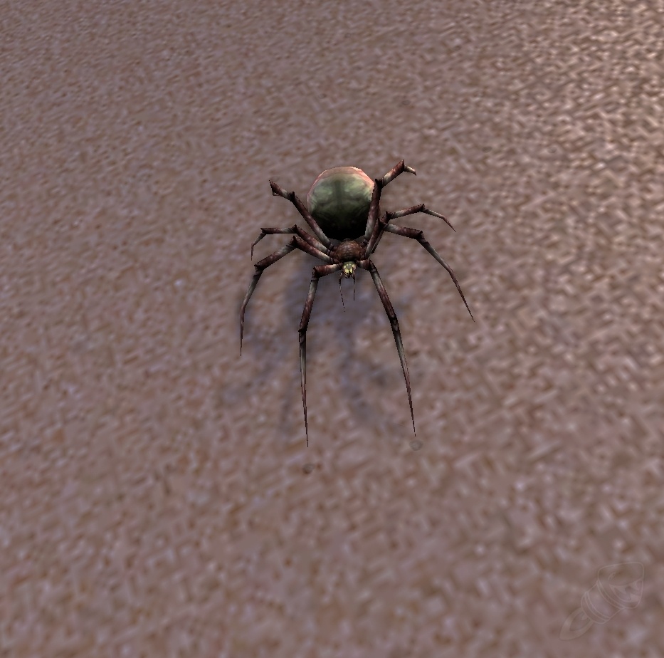Forest Spiderling - NPC - Mists of Pandaria Classic