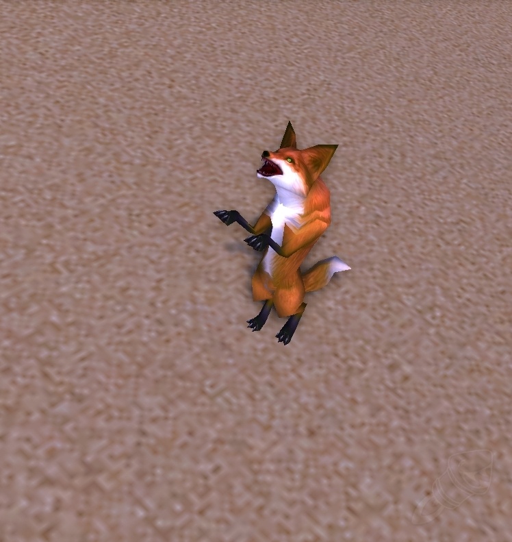 Fox Kit - NPC - Mists of Pandaria Classic