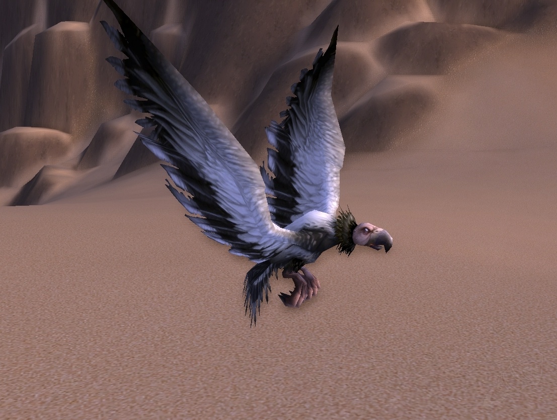 Dragonbone Hatchling - NPC - Mists of Pandaria Classic