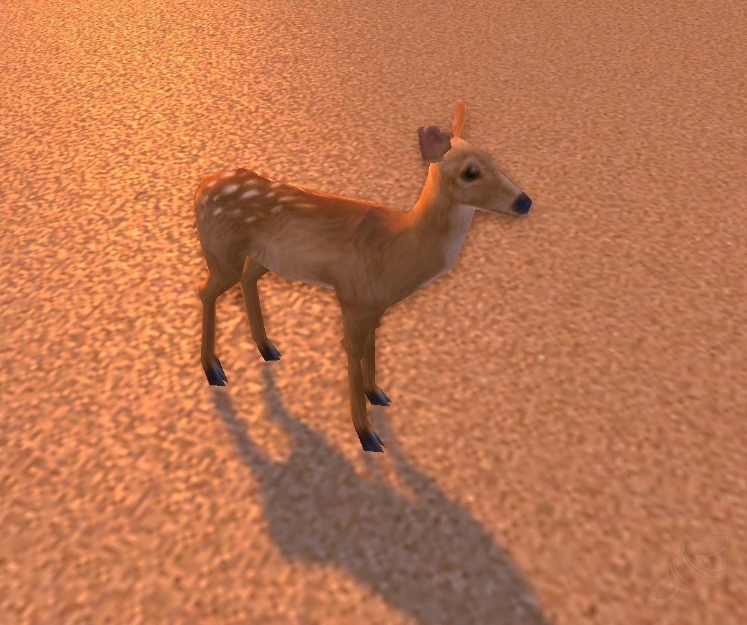 Cervato - PNJ - [Mists of Pandaria Classic]