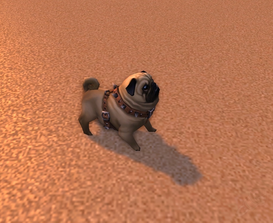 Perky Pug - NPC - Mists of Pandaria Classic