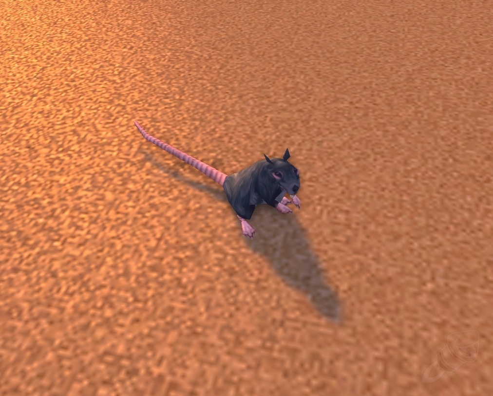 Rat corrompu - PNJ - [Mists of Pandaria Classic]