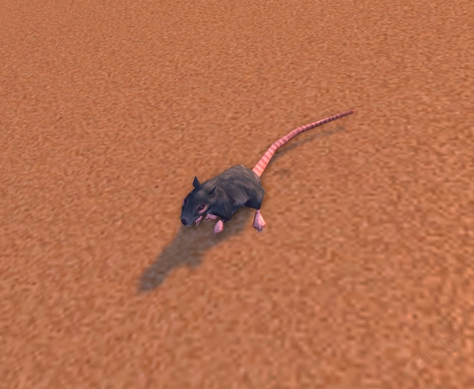 Stormwind Rat - NPC - Mists of Pandaria Classic