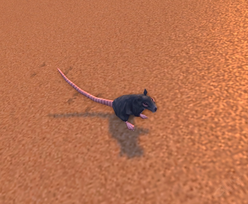 Redridge Rat - NPC - Mists of Pandaria Classic