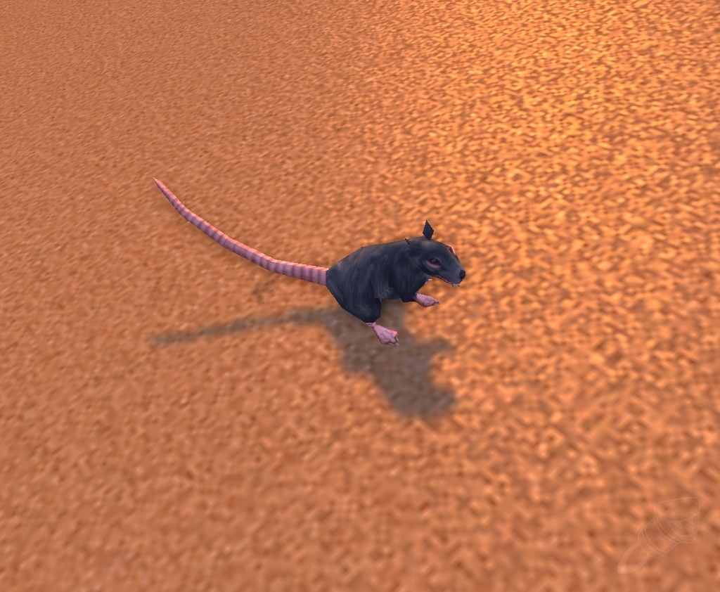 Rata de muelle - PNJ - [Mists of Pandaria Classic]