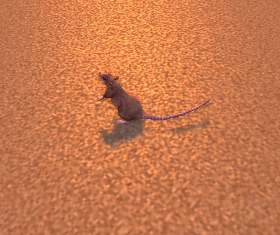 Prairie Mouse - NPC - Mists of Pandaria Classic