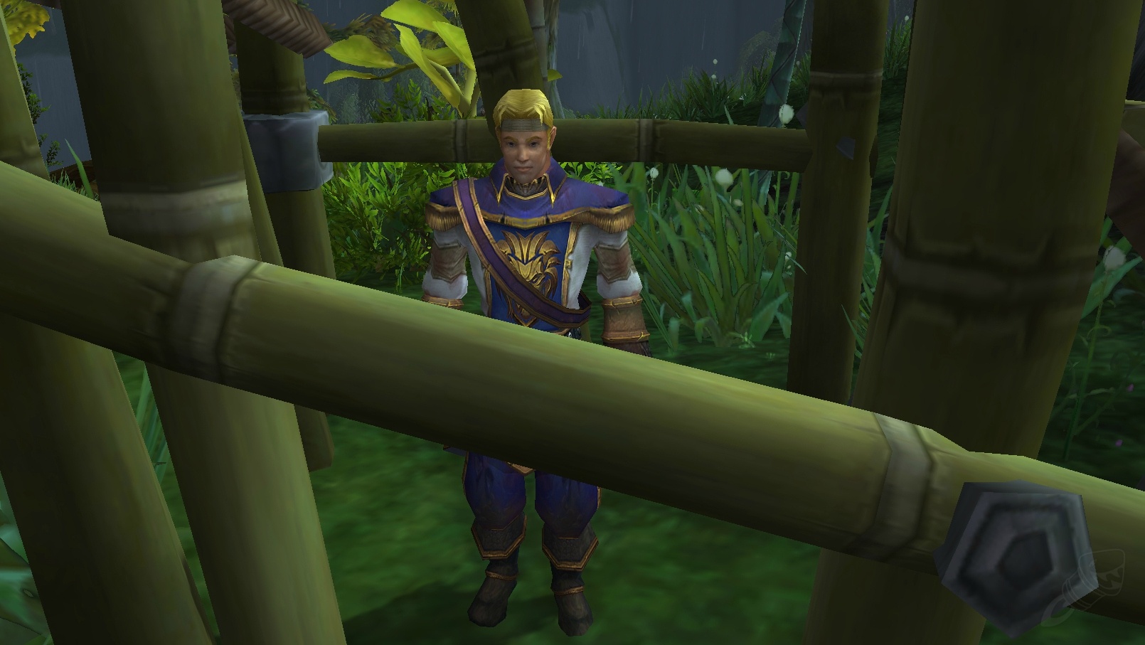 Anduin Wrynn - NPC - Mists of Pandaria Classic