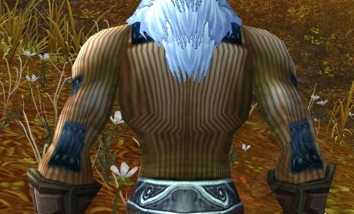 Vermin-Gnawed Cloth Vest - Item - Mists of Pandaria Classic