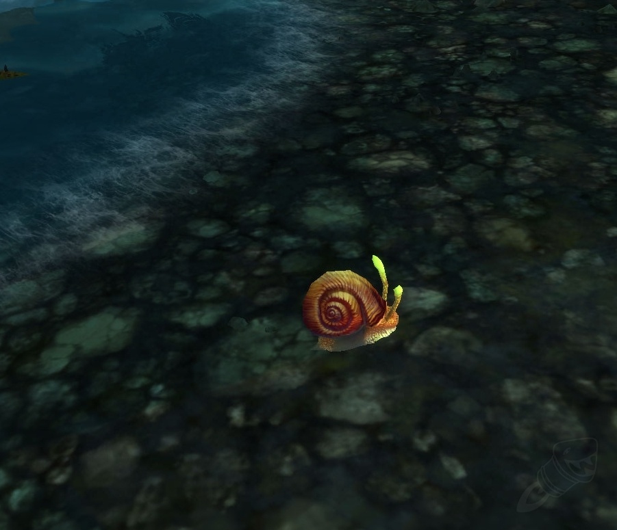 Rapana Whelk - NPC - Mists of Pandaria Classic