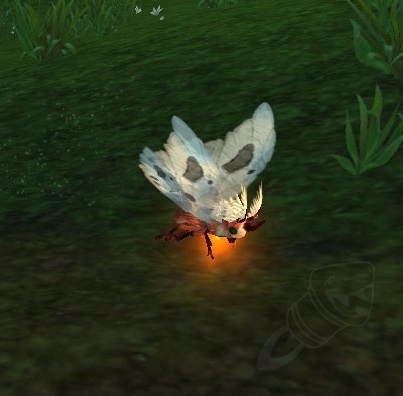 Flamering Moth - NPC - Mists of Pandaria Classic