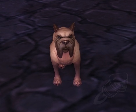 Xena - PNJ - World of Warcraft