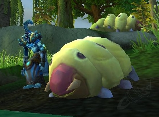 Chibee - NPC - Mists of Pandaria Classic