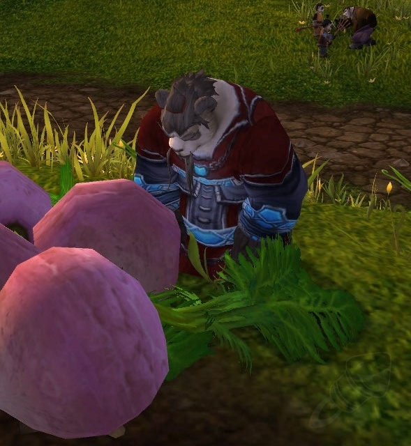 Pang Thunderfoot - NPC - World of Warcraft