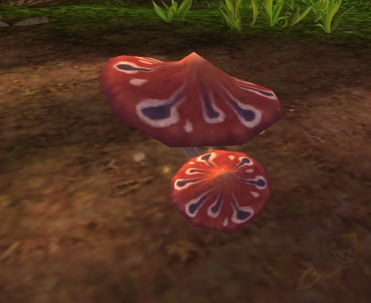 [Fool's Cap]—物件—潘達利亞之謎經典版