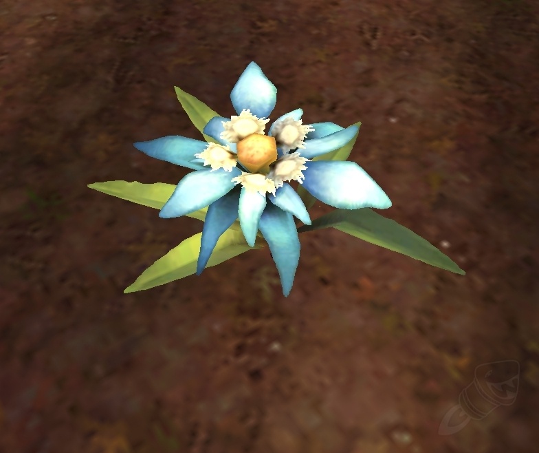 Snow Lily - Object - Mists of Pandaria Classic