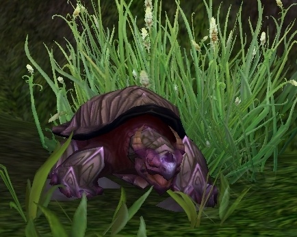 Tortue corne de wyrm - PNJ - [Mists of Pandaria Classic]