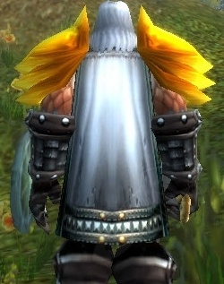 Sentry's Cape - Item - Mists of Pandaria Classic