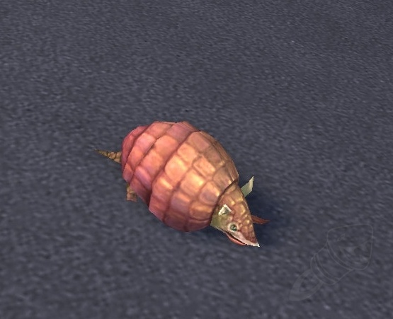 Cachorro de armadillo - Objeto - [Mists of Pandaria Classic]