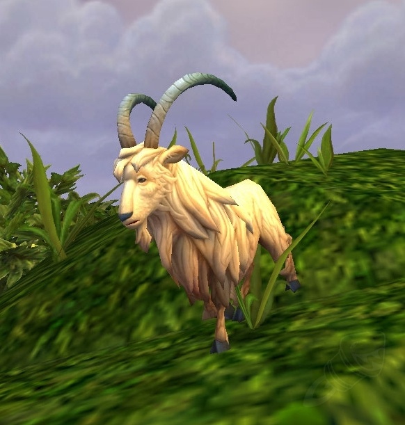 Niño de El Alcor - PNJ - World of Warcraft