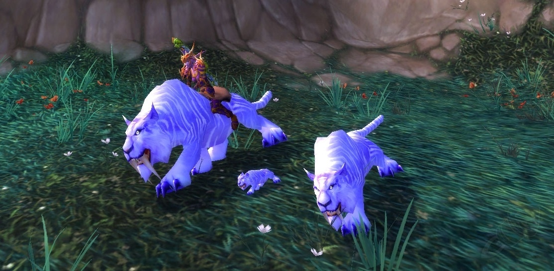 새끼 설원호랑이 - 아이템 - 판다리아의 안개 클래식