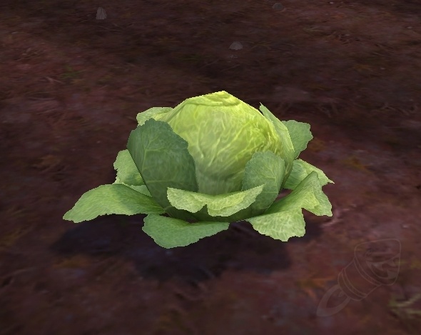 Growing EZ-Gro Green Cabbage - NPC - World of Warcraft