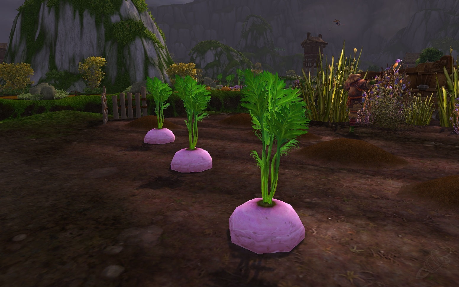 Pink Turnip Seeds - Item - Mists of Pandaria Classic
