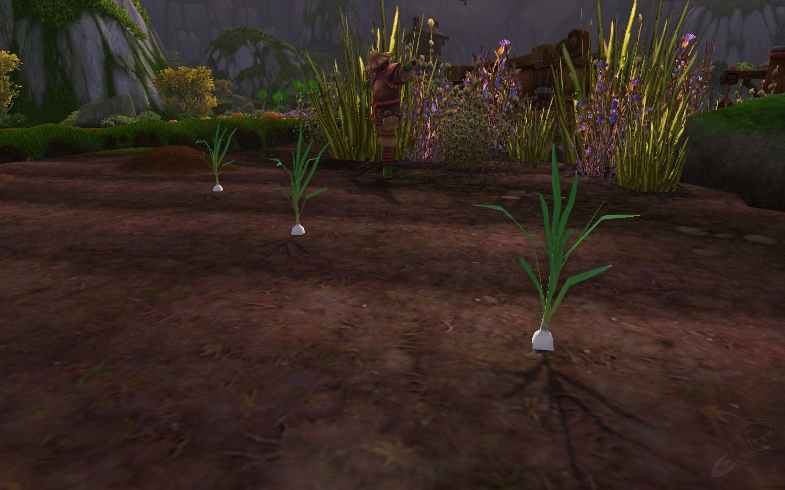 Scallion Seeds - Item - Mists of Pandaria Classic