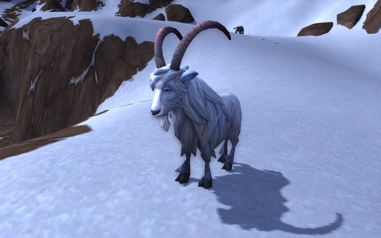 Kafi - NPC - Mists of Pandaria Classic