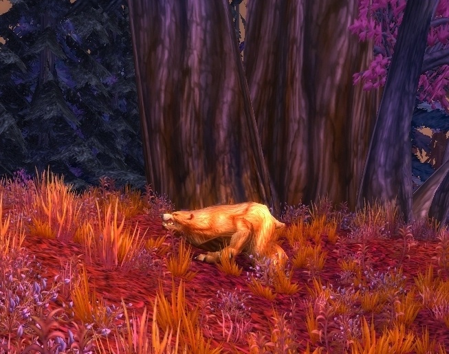 Oso marrón grisáceo - PNJ - [Mists of Pandaria Classic]