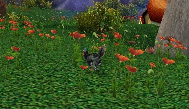 Highlands Turkey - NPC - Mists of Pandaria Classic