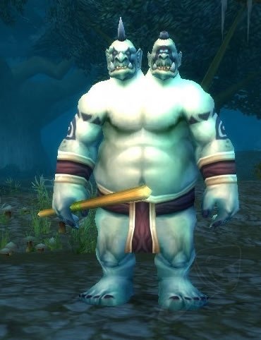 Feuerwirker der Splitterfäuste - NPC - Mists of Pandaria Classic