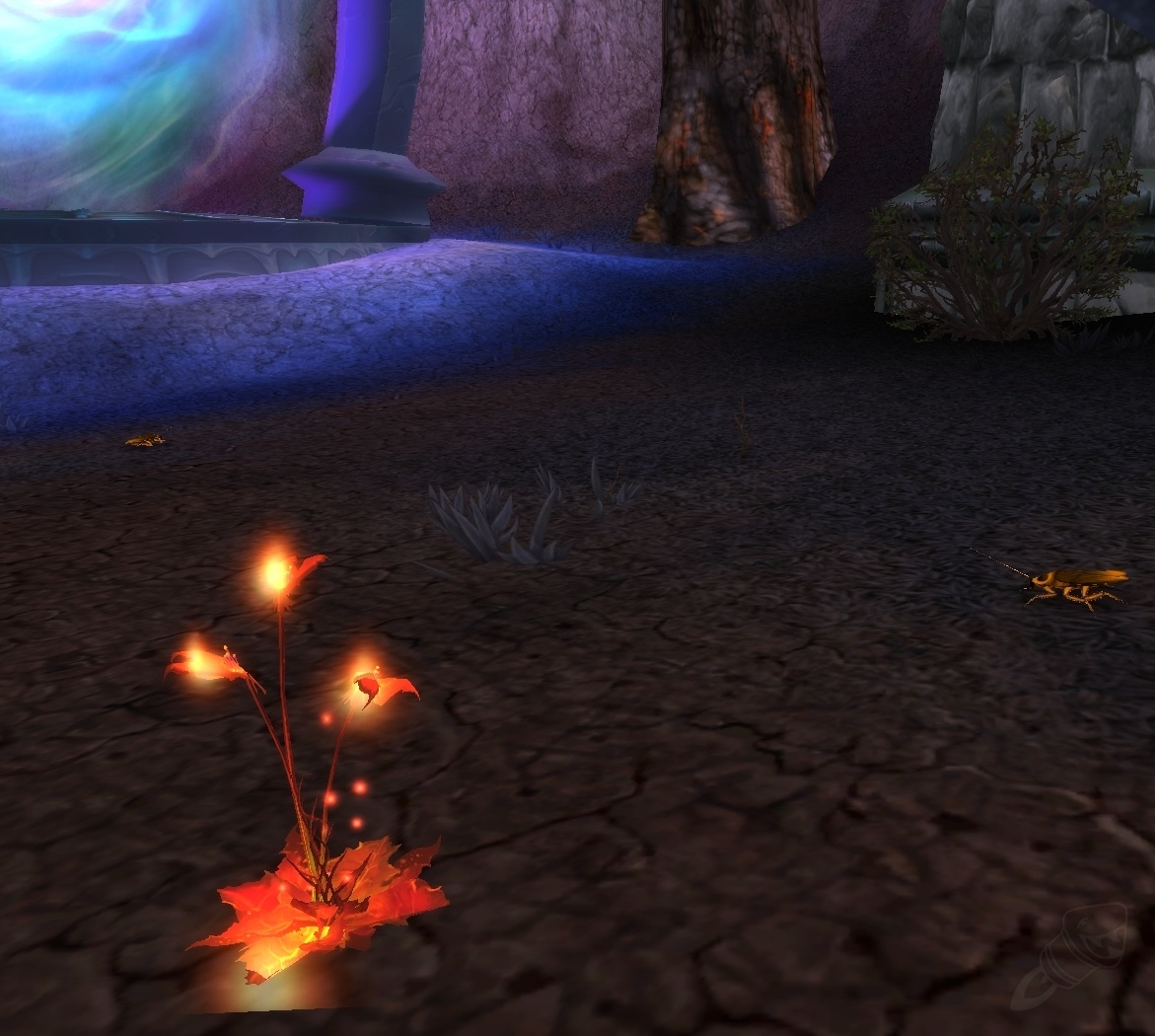 Curiana Caramuerte - PNJ - [Mists of Pandaria Classic]