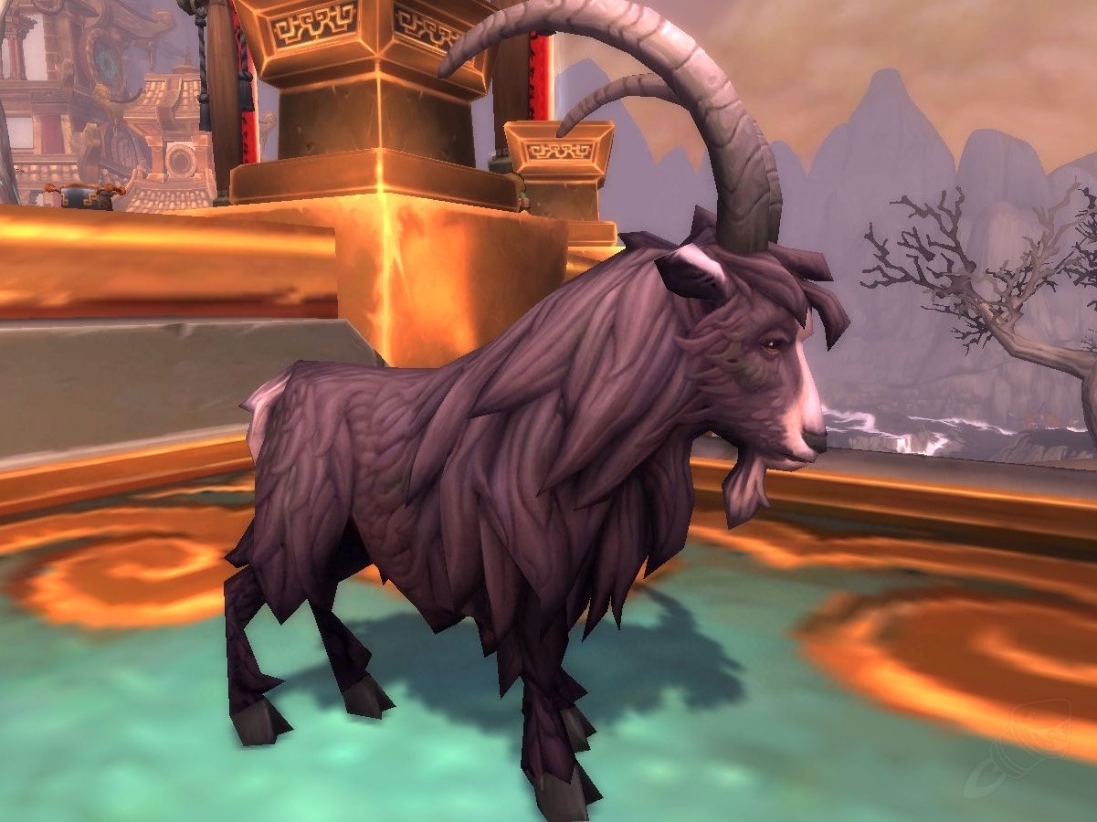 Zhing - NPC - Mists of Pandaria Classic