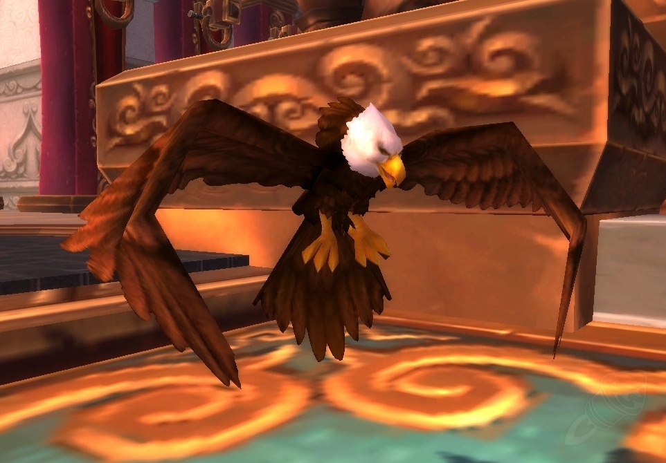 Hyjal Eagle - NPC - Mists of Pandaria Classic