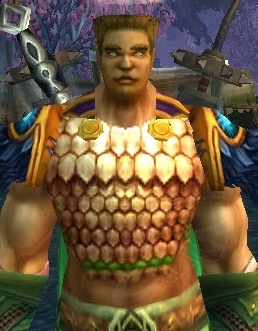 Ravager Chitin Tunic - Item - World of Warcraft