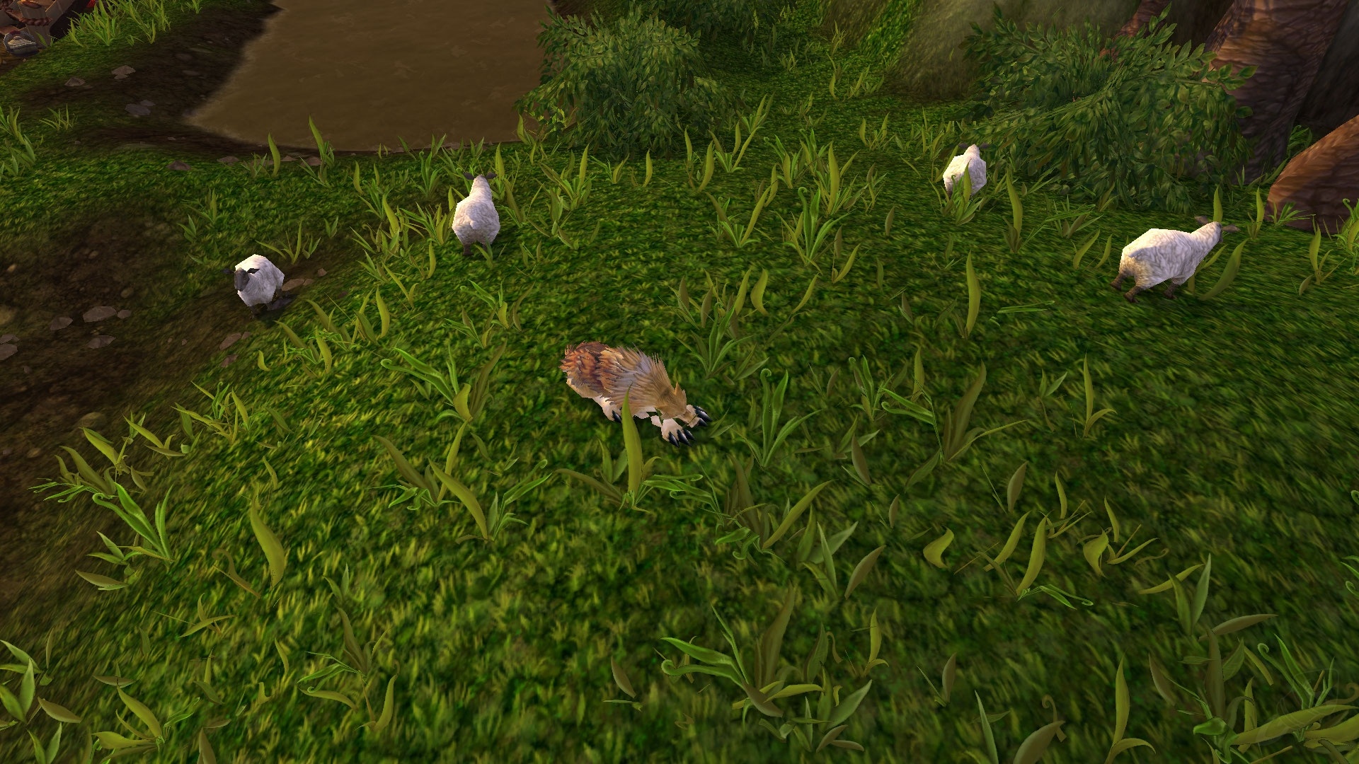 Dog - NPC - Mists of Pandaria Classic