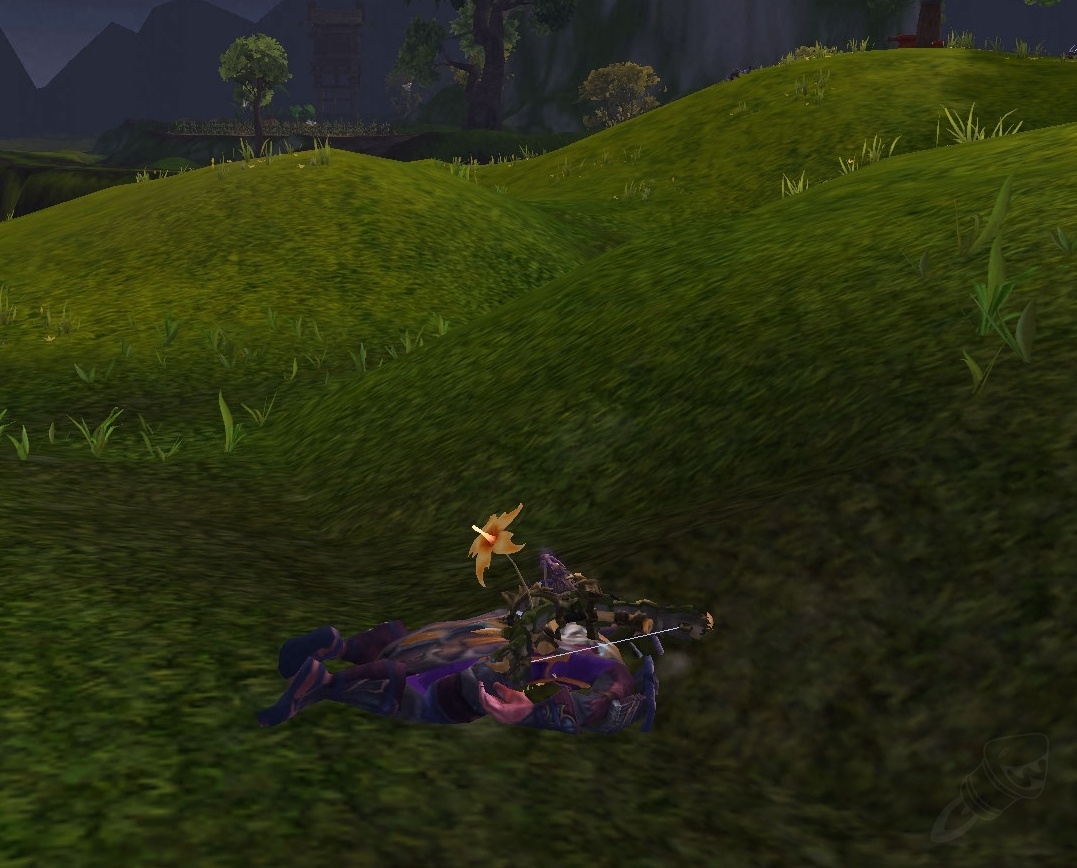 Mourning Glory - Item - Mists of Pandaria Classic