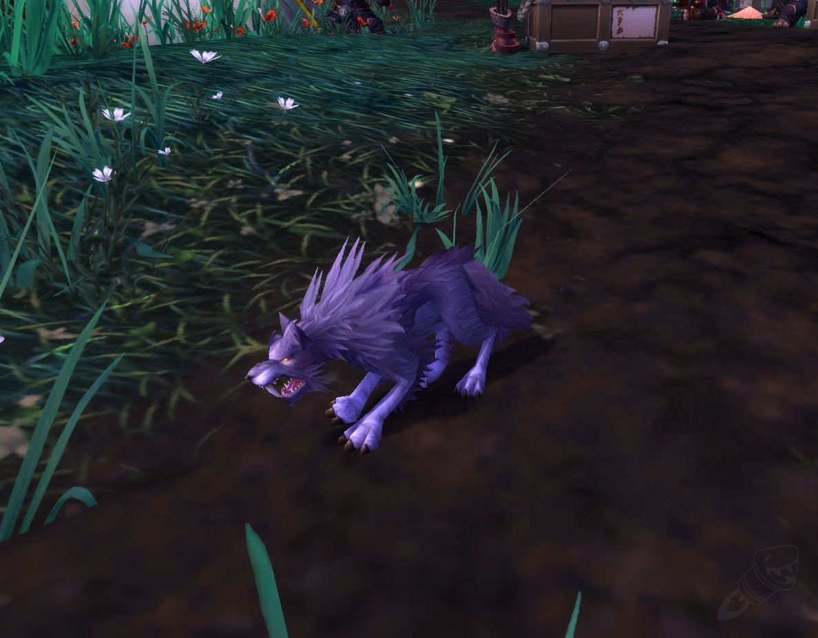 Filhote de Worg do Fiorde - PNJ - Mists of Pandaria clássico