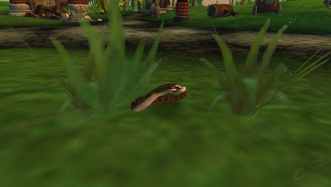Death Adder Hatchling - Item - Mists of Pandaria Classic