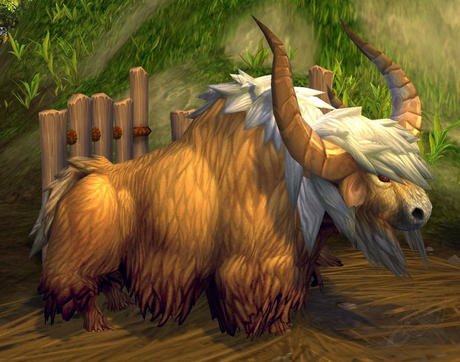 Wolly - NPC - Mists of Pandaria Classic