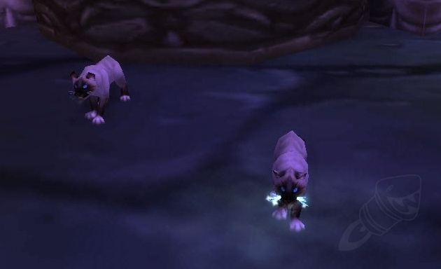 Mr. Bigglesworth - Item - Mists of Pandaria Classic