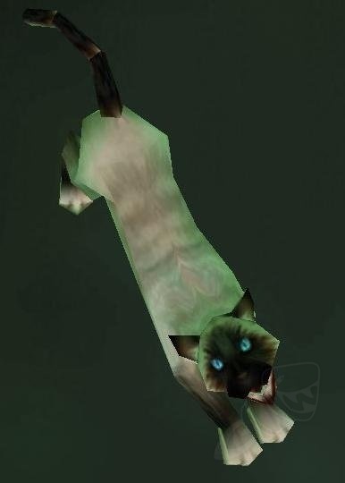 Transportador de Gato (Siamês) - Item - World of Warcraft Clássico